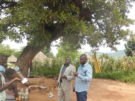 The importance of Ugandan farmers growing Shea butter tree as income ...